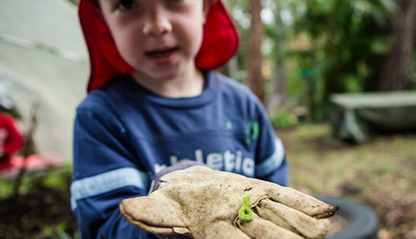 Investigating their world