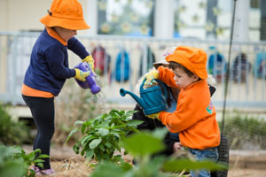 Spring into gardening and watch the rewards grow
